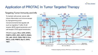 PROTAC Technology in Tumor Targeted Therapy - Creative Biolabs | PPTX
