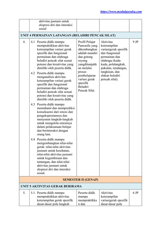 Prota Kelas 8 SMP/MTS PJOK Fase D | DOCX