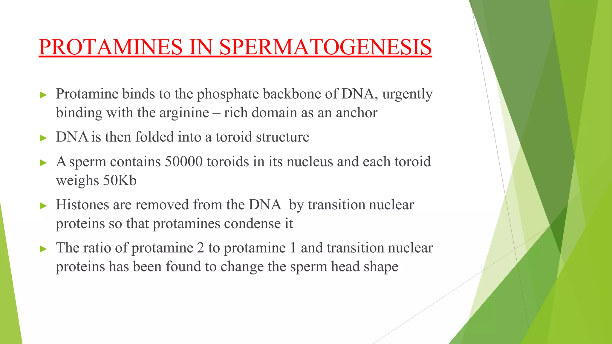 protamines-180921025338 (3).pptx