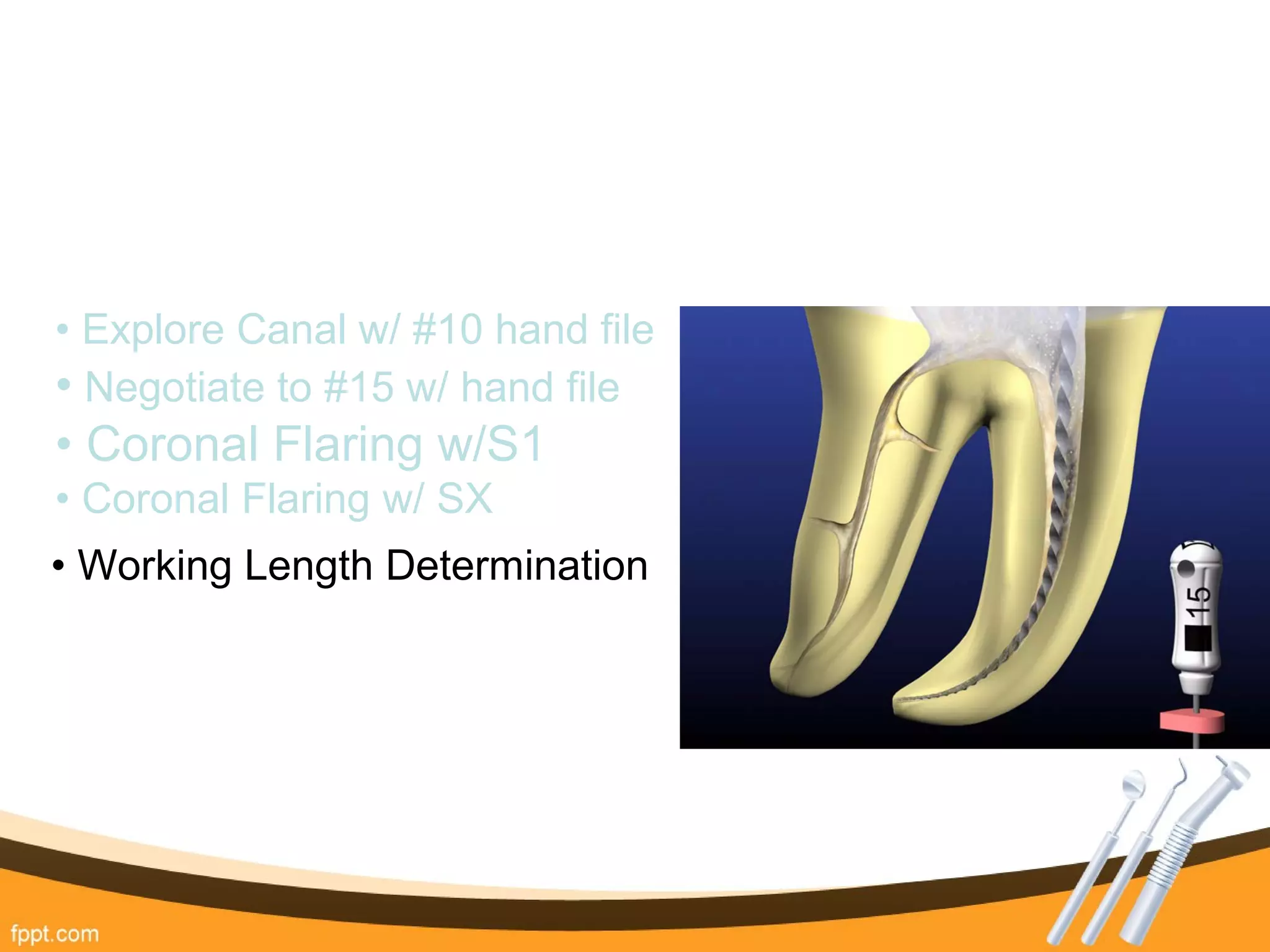 Protaper endodontic system | PPT