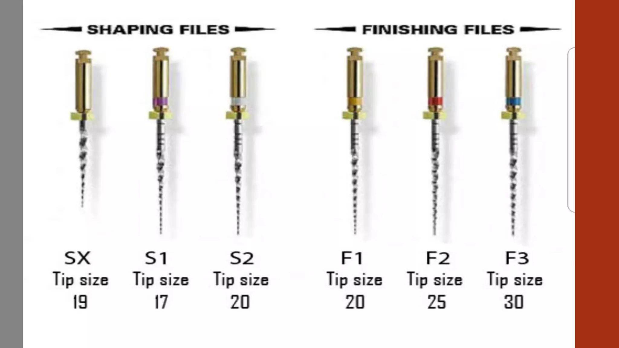 Protaper Next File/ Dr.Sarah Alkhateeb | PPTX