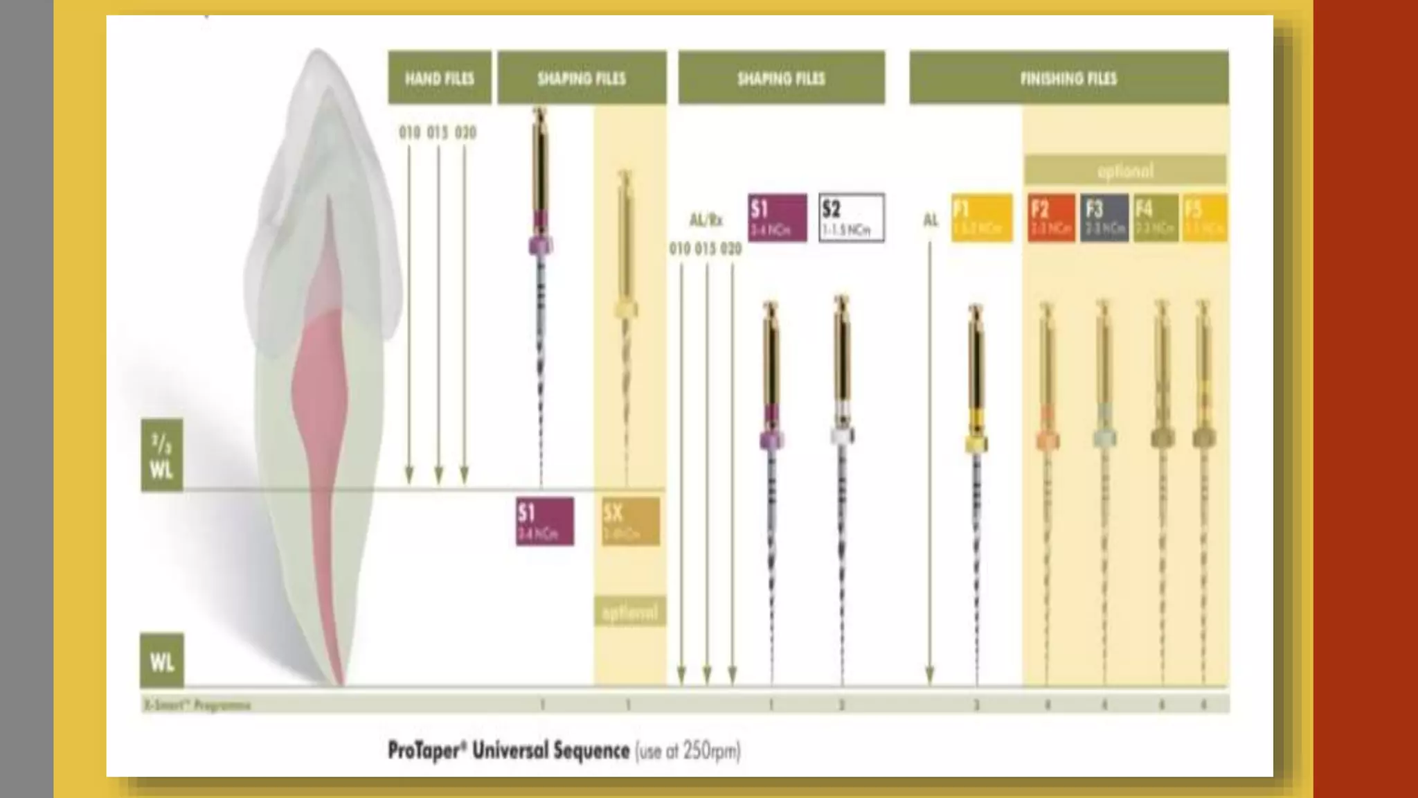 Protaper Next File/ Dr.Sarah Alkhateeb | PPT