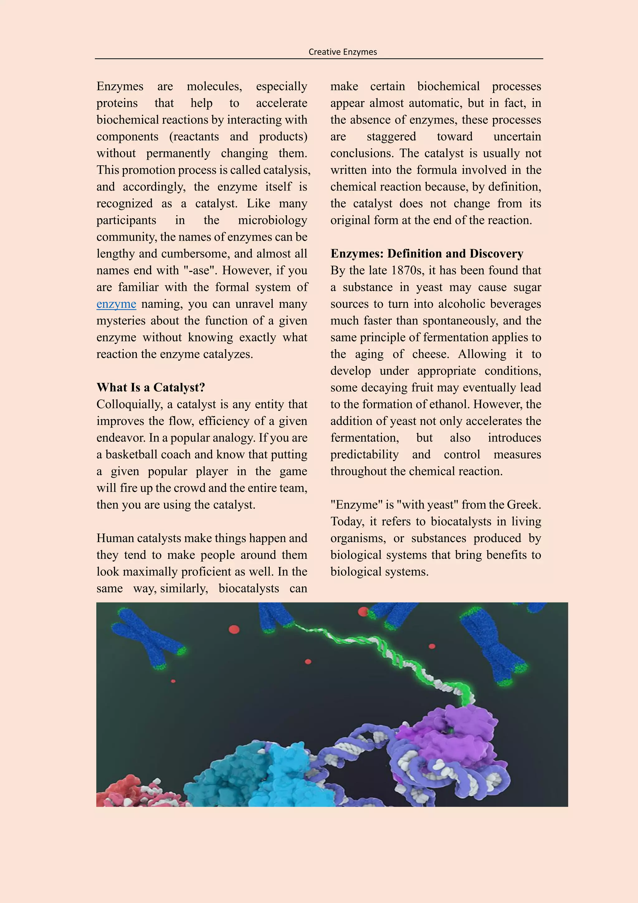 Protease | PDF