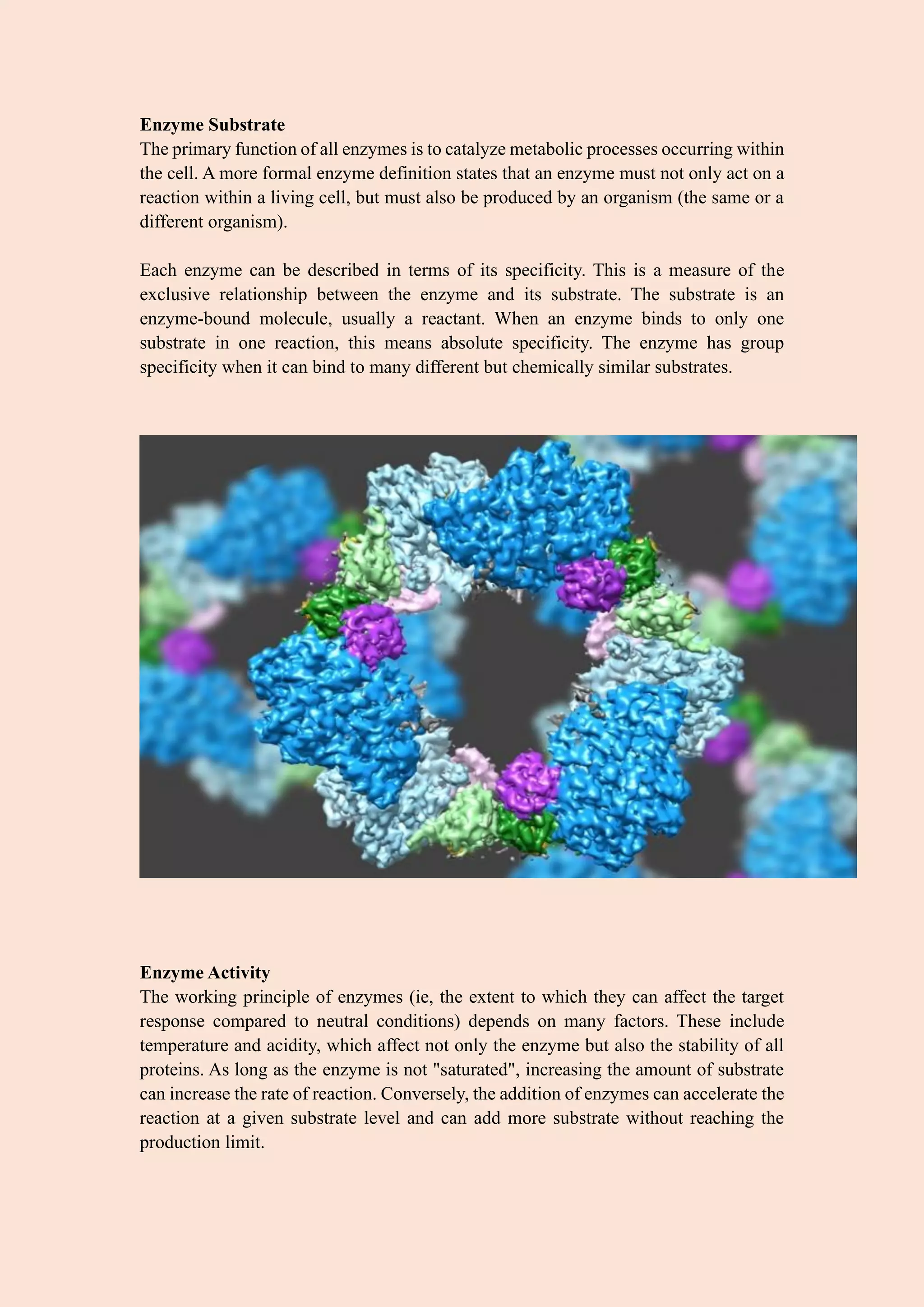 Protease | PDF