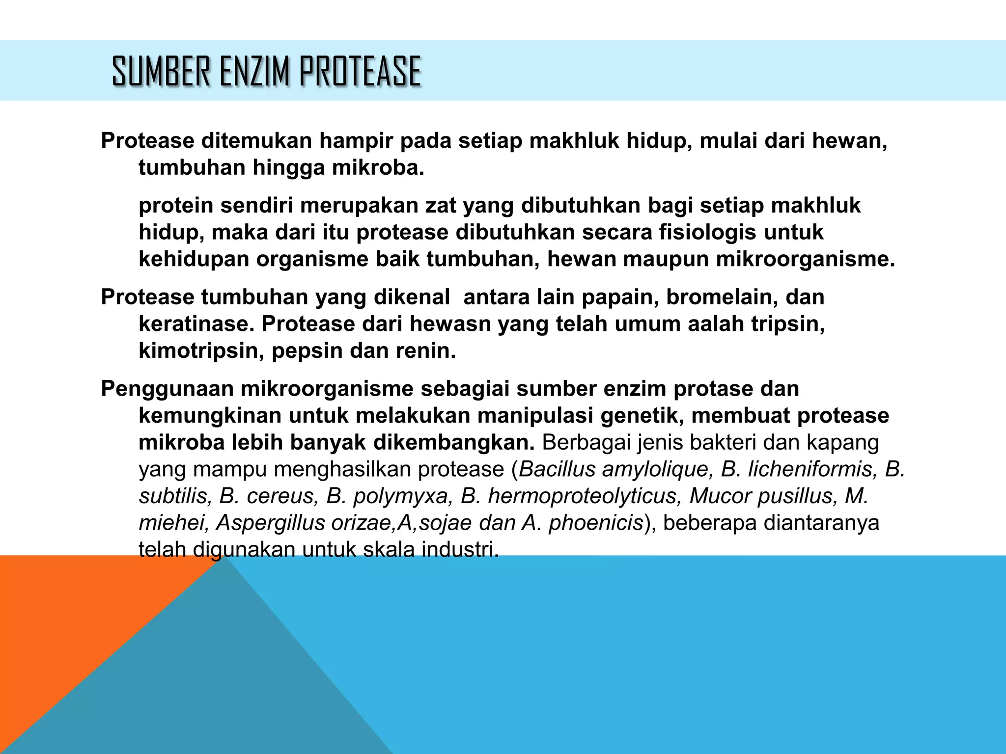 Protease (enzim papain) ppt | PPTX