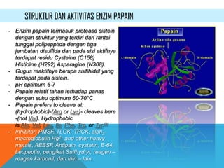 Protease (enzim papain) ppt | PPTX