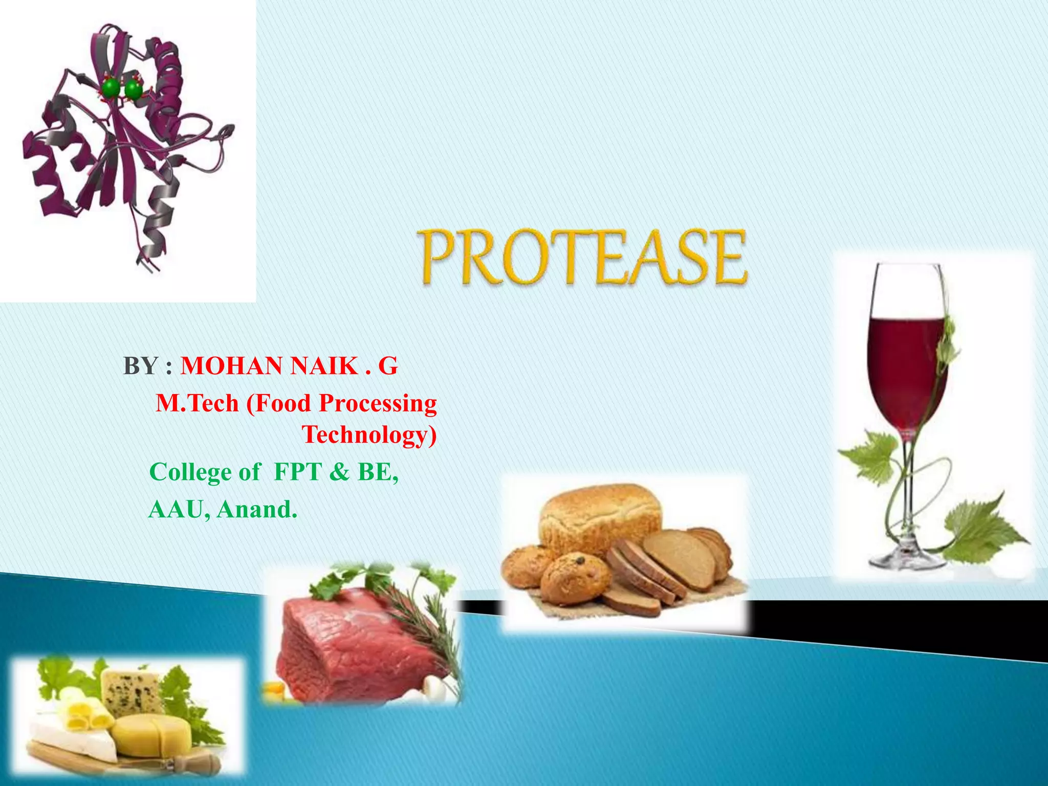 Protease Enzyme Application in Food Processing | PPTX