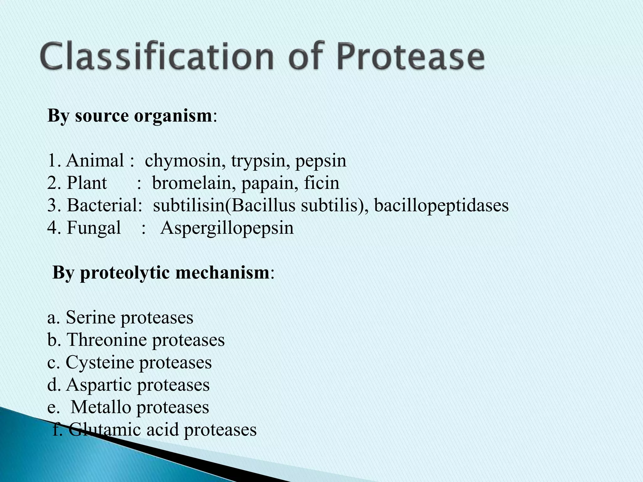 Protease Enzyme Application in Food Processing | PPTX