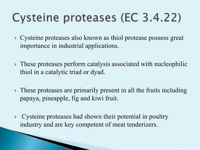 Protease Enzyme Application in Food Processing | PPTX