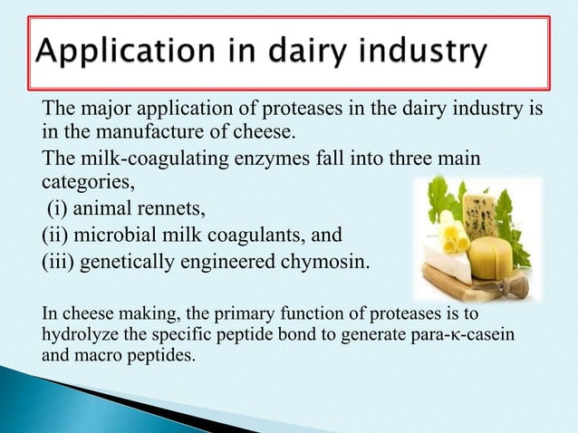 Protease Enzyme Application in Food Processing | PPT
