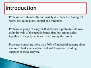 Protease Enzyme Application in Food Processing | PPTX