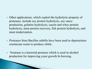 Protease Enzyme Application in Food Processing | PPTX