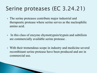 Protease Enzyme Application in Food Processing | PPTX