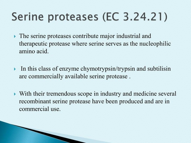 Protease Enzyme Application in Food Processing | PPTX