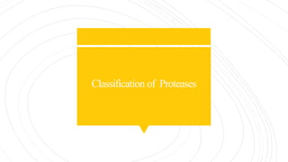 Protease enzyme | PDF