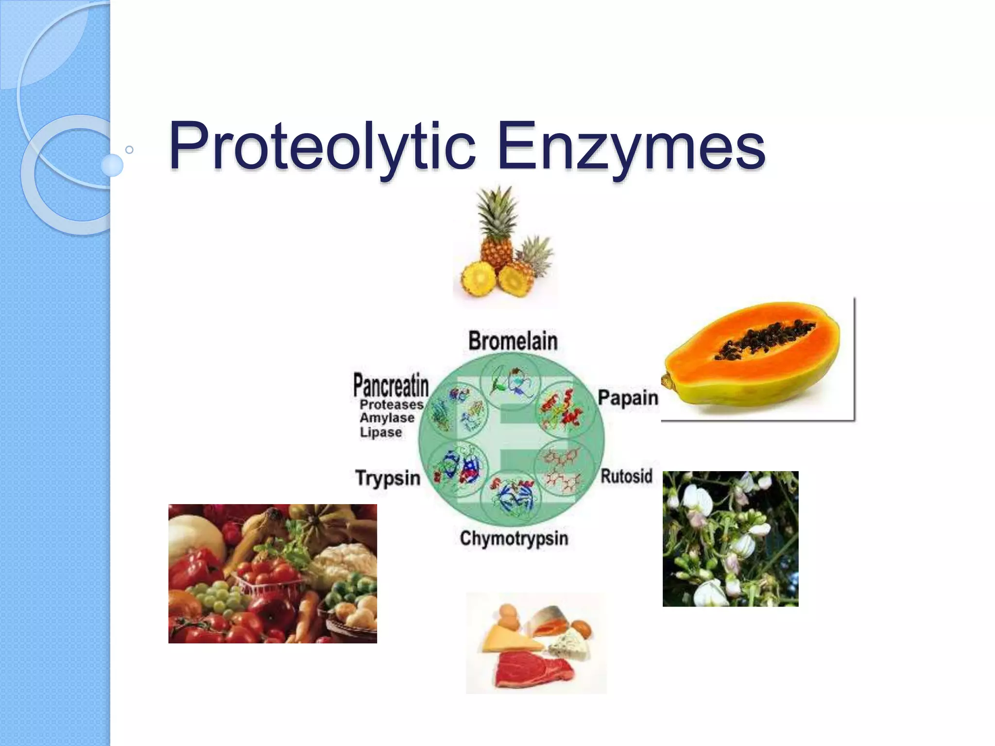 Proteolytic enzymes | PPT