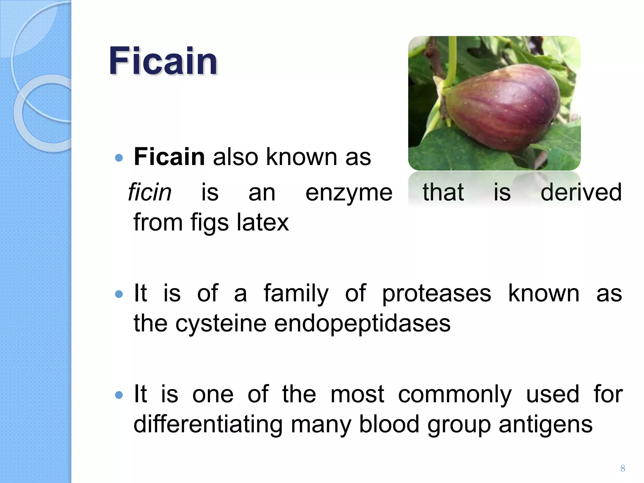 Proteolytic enzymes | PPT