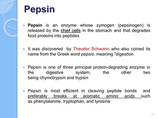 Proteolytic enzymes | PPT