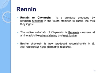 Proteolytic enzymes | PPT