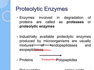Protease Enzyme