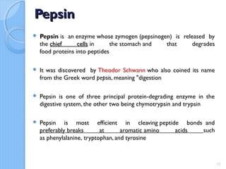 Protease enzymes | PPT