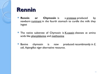 Protease enzymes | PPT