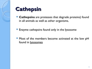 Protease enzymes | PPT