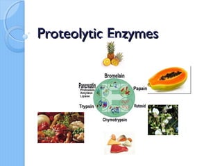 Protease enzymes | PPT