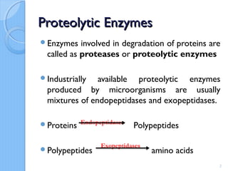 Protease Enzyme