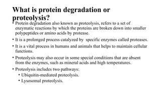 Protease function and their mechanism.pptx