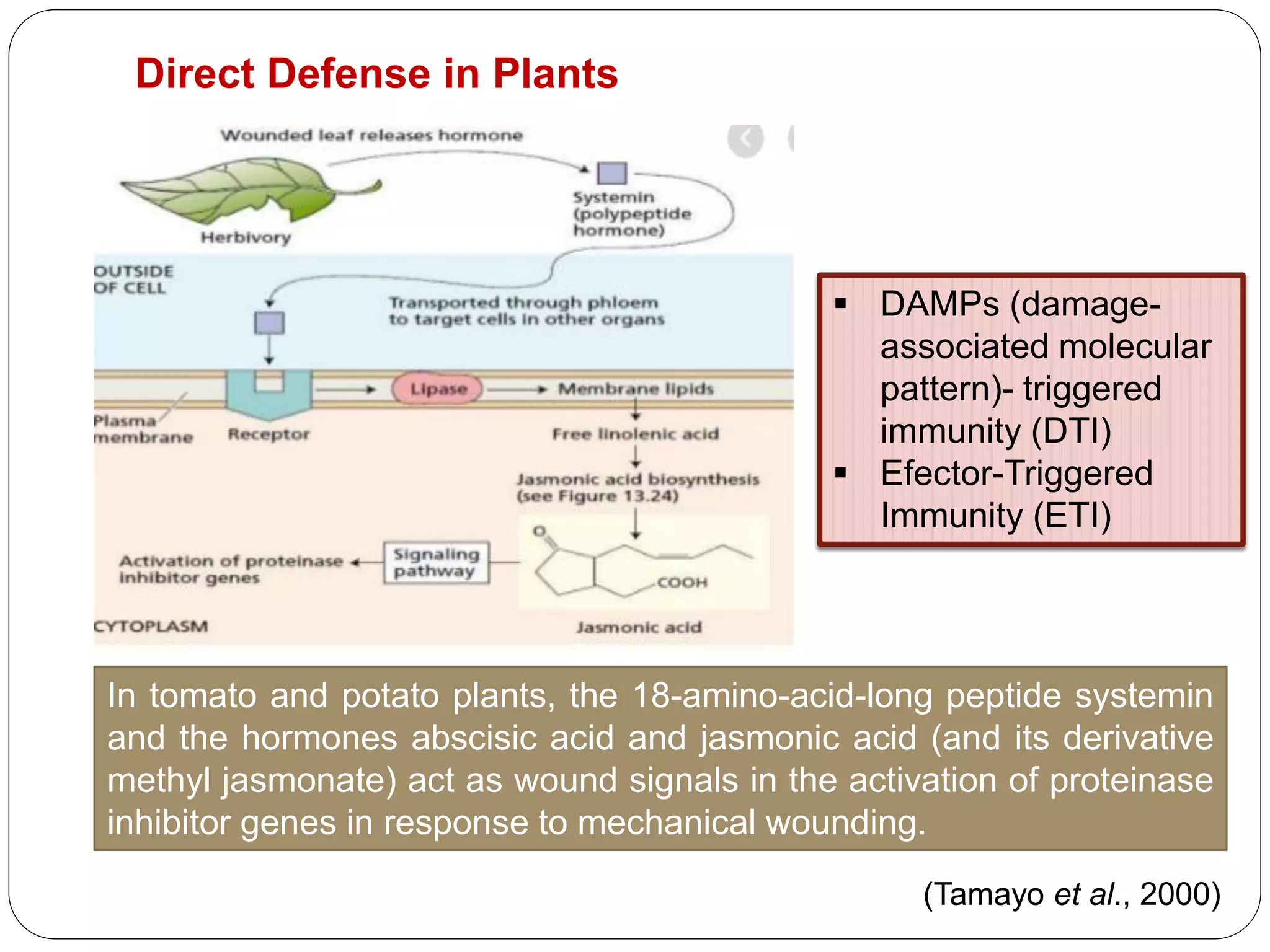 Protease inhibitor and molecular interaction in insect | PDF