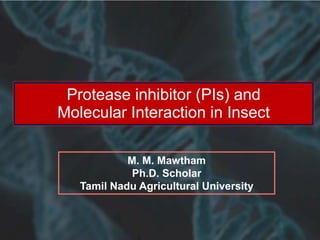 Protease inhibitor and molecular interaction in insect | PDF