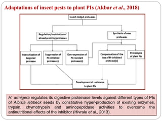 Protease inhibitor and molecular interaction in insect | PDF
