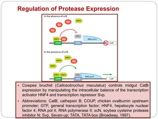 Protease inhibitor and molecular interaction in insect | PDF