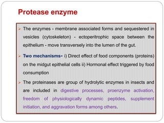 Protease inhibitor and molecular interaction in insect | PDF