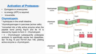 Proteases | PPT