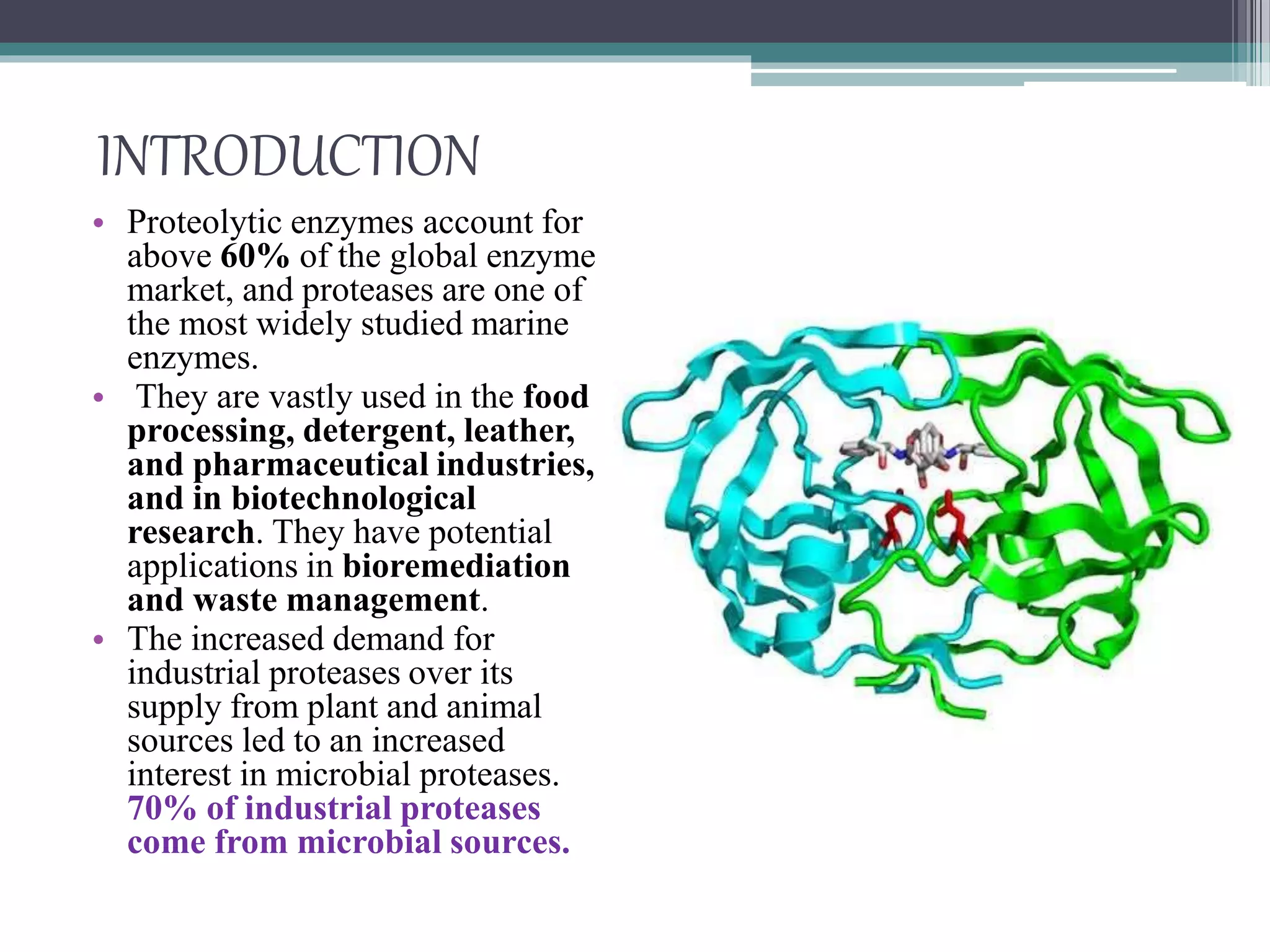 PROTEASES.pptx