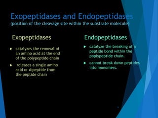 Proteases | PPTX