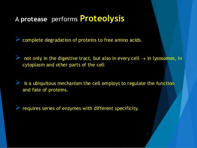 Proteases