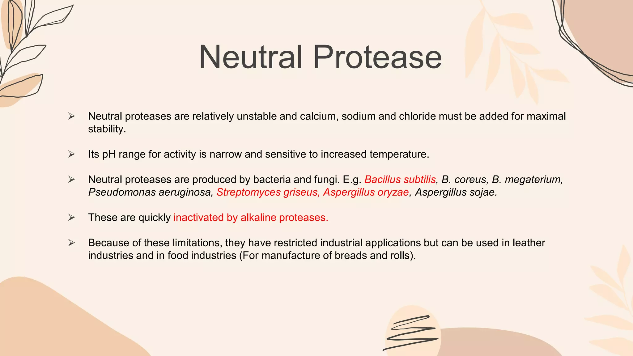 Production of enzyme Proteases: Biotechnology, pharmacy | PPTX
