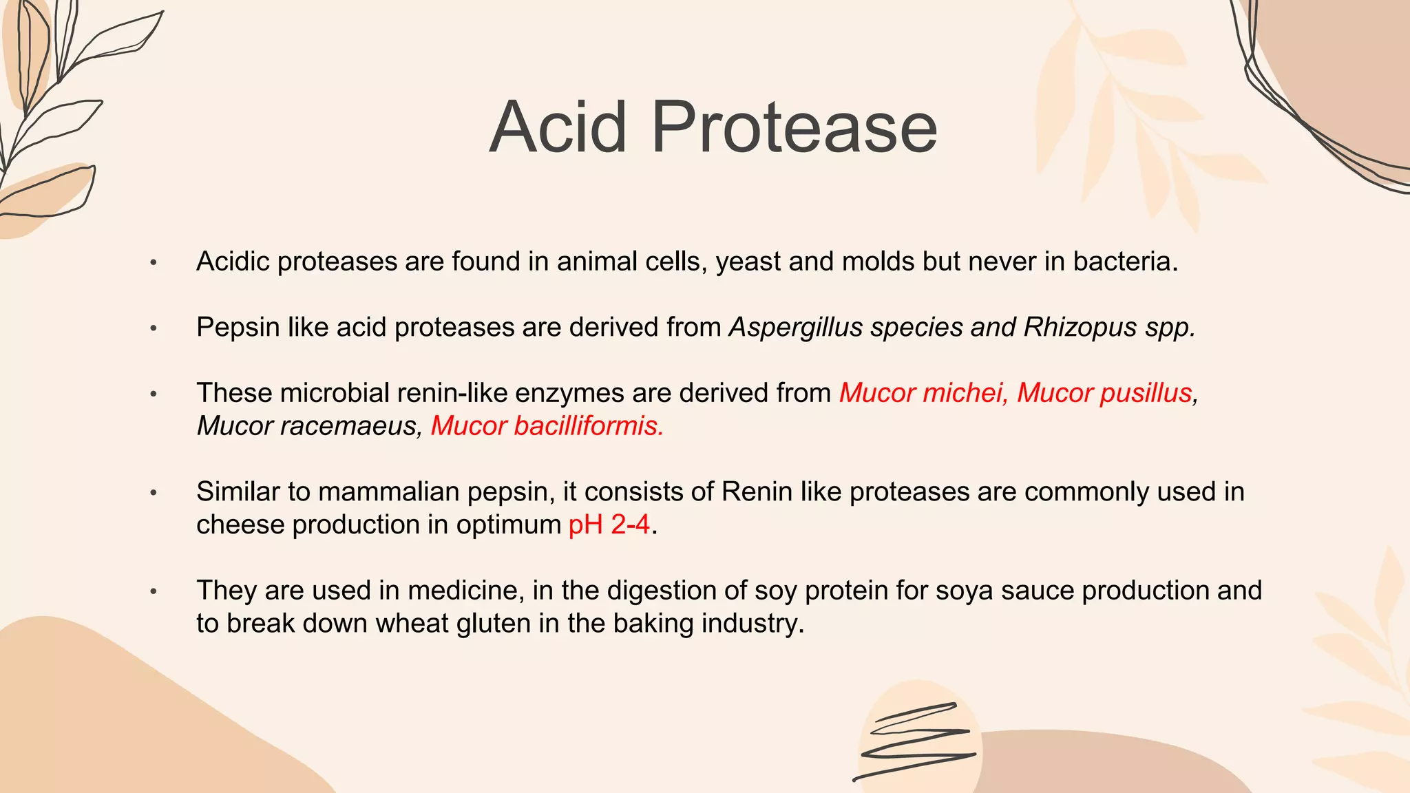 Production of enzyme Proteases: Biotechnology, pharmacy | PPTX