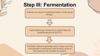 Production of enzyme Proteases: Biotechnology, pharmacy | PPTX