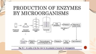 Production of enzyme Proteases: Biotechnology, pharmacy | PPTX