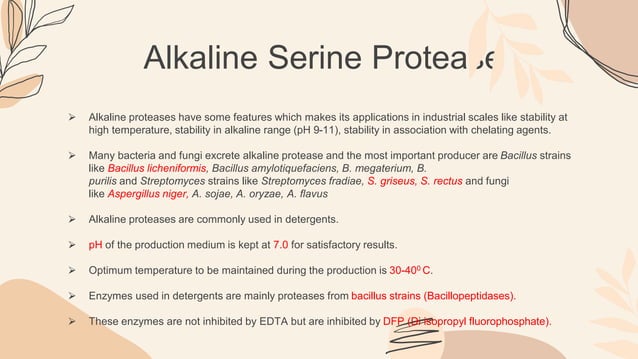 Production of enzyme Proteases: Biotechnology, pharmacy | PPTX | Chemistry | Science
