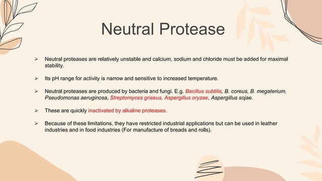 Production of enzyme Proteases: Biotechnology, pharmacy | PPTX | Chemistry | Science
