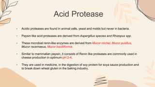 Production of enzyme Proteases: Biotechnology, pharmacy | PPTX