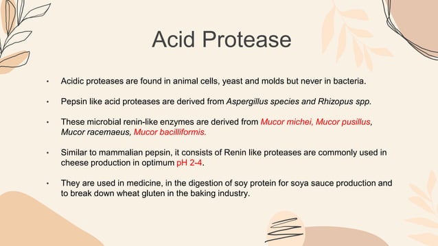 Production of enzyme Proteases: Biotechnology, pharmacy | PPTX | Chemistry | Science