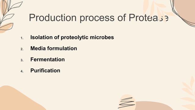 Production of enzyme Proteases: Biotechnology, pharmacy | PPTX | Chemistry | Science