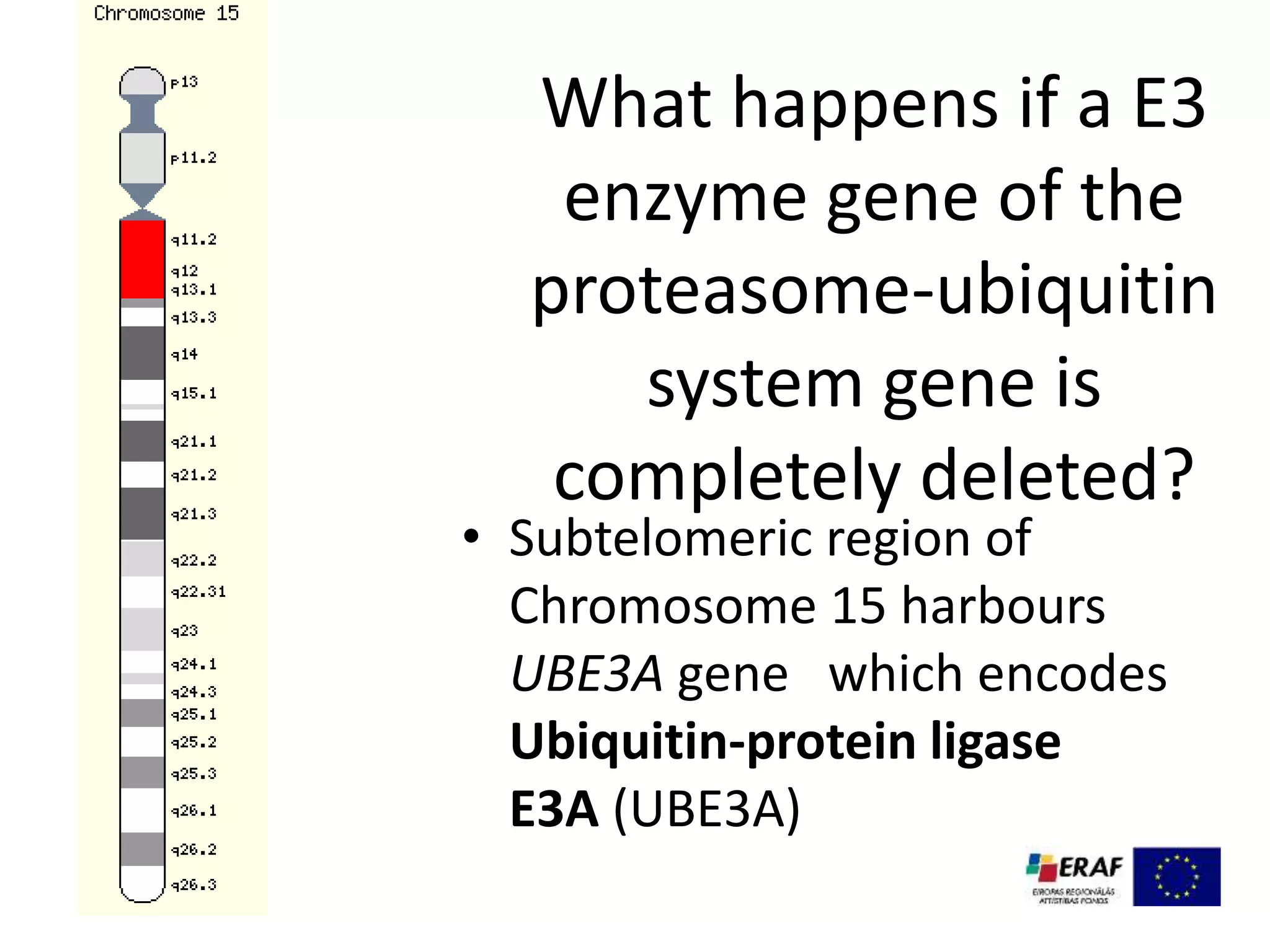 Proteasome-ubiquitin_pathway__in_pathology.ppt