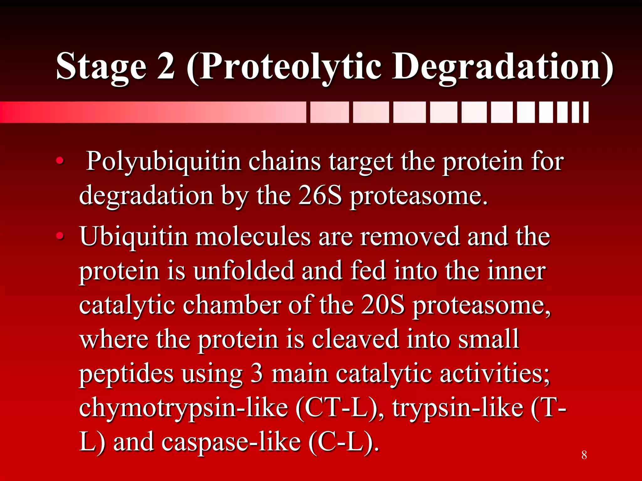Proteasome inhibitors in cancer therapy | PPTX